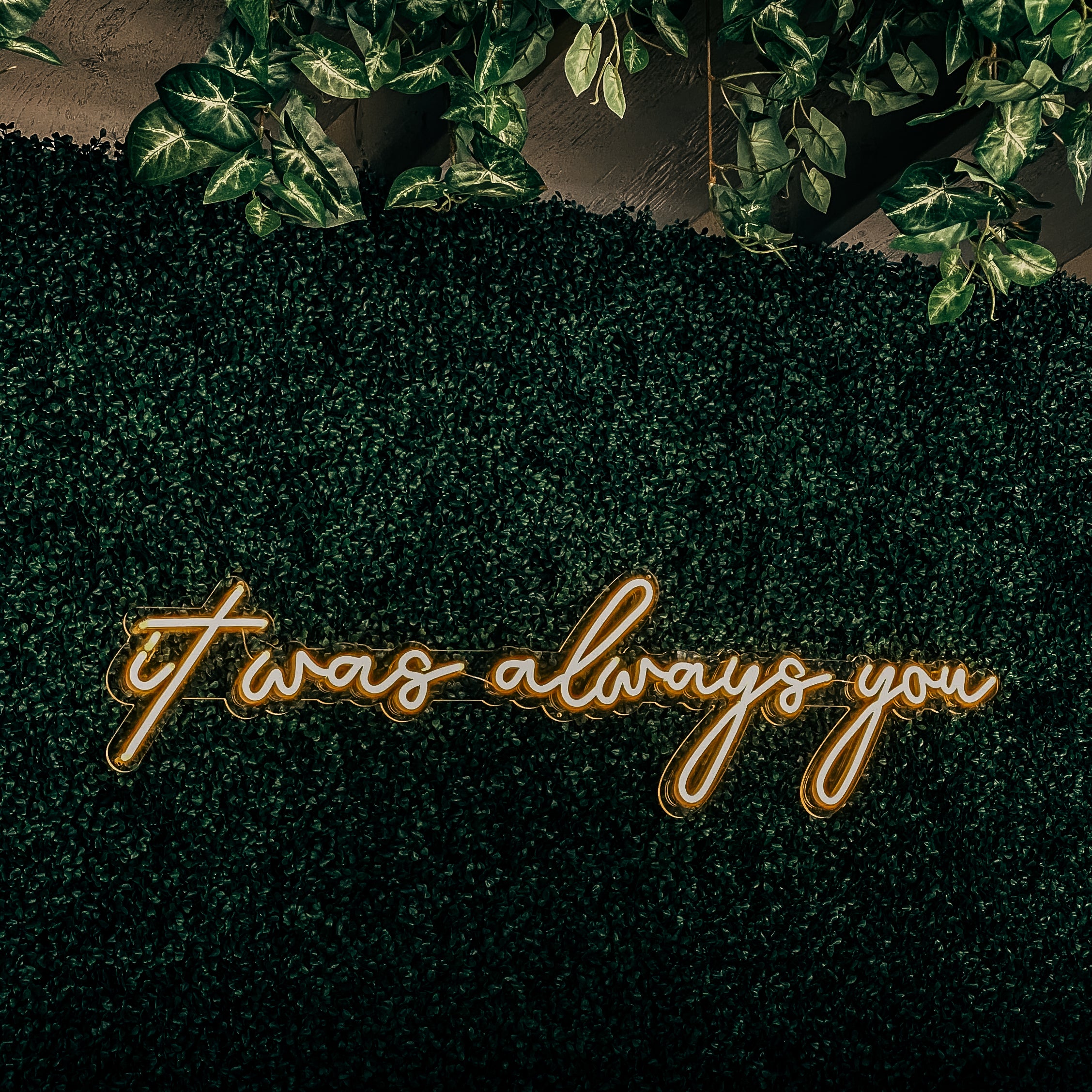 Neon Light Rentals for Weddings in Canada - It Was Always You – Neon ...